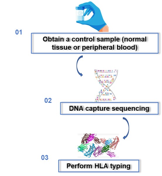 HLA Typing - Alfa Cytology