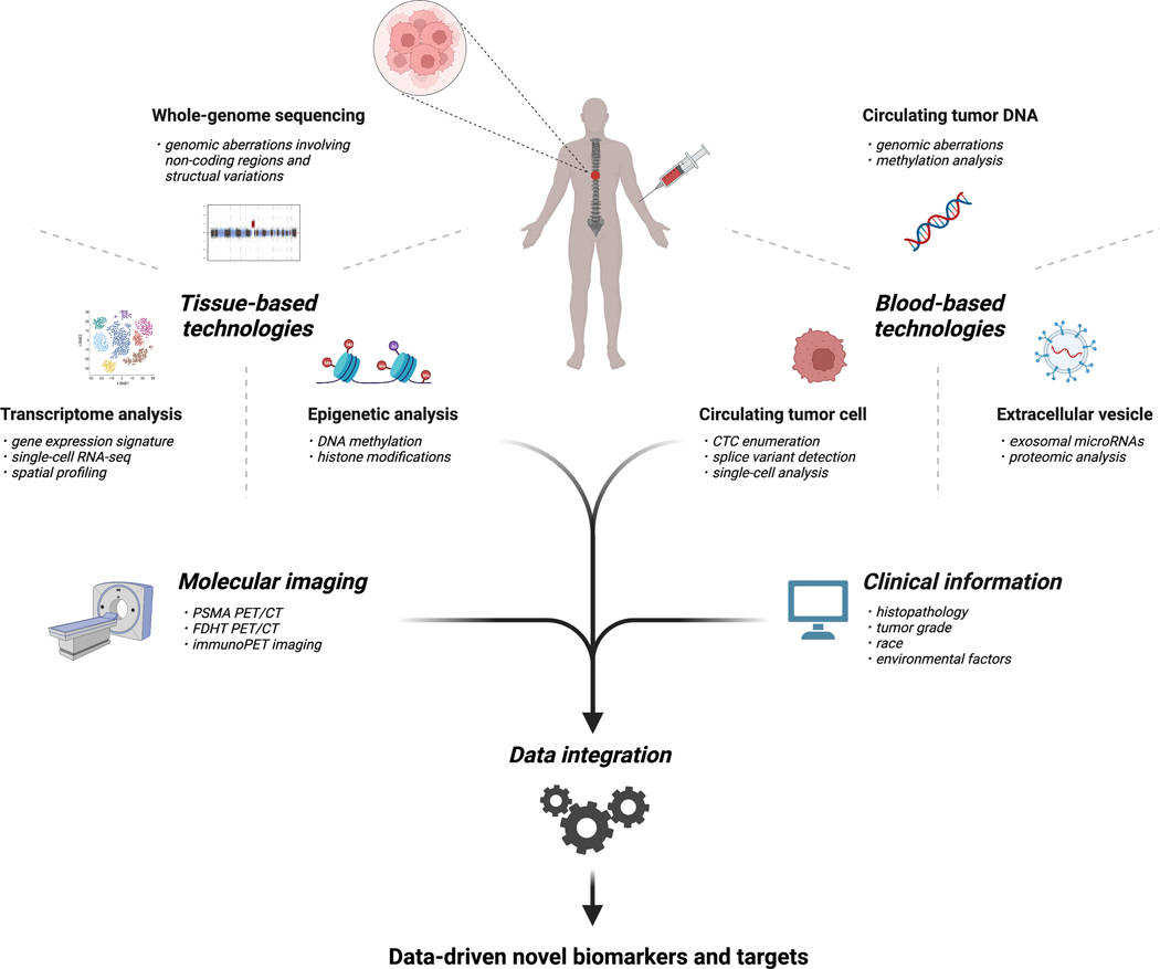 Prostate Cancer Biomarker Discovery - Alfa Cytology