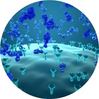 Prostate Cancer Biomarker Discovery - Alfa Cytology