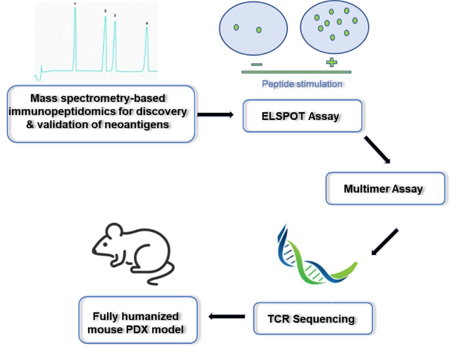 Drug Screening & Validation Platform - Alfa Cytology