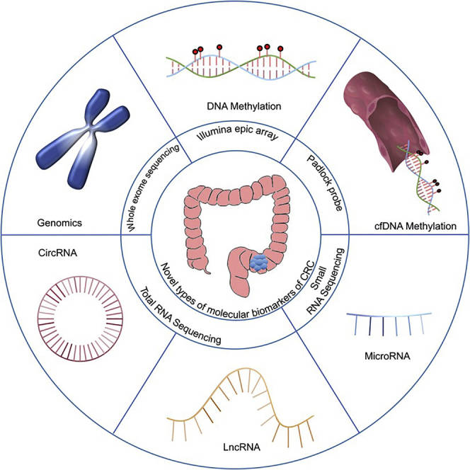 Colorectal Cancer Biomarker Discovery - Alfa Cytology