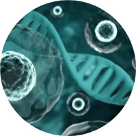 Colorectal Cancer Biomarker Discovery - Alfa Cytology