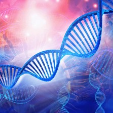 DNA Mutation Biomarker Discovery for Cancer - Alfa Cytology