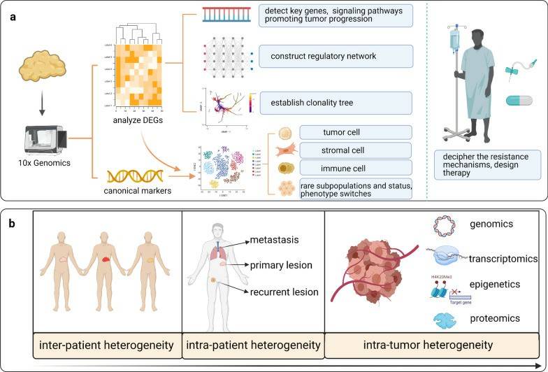 Tumor Target Gene Sequencing - Alfa Cytology