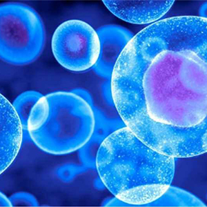 Tumor Specific Antigen (TSA) Discovery - Alfa Cytology