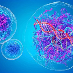 Tumor Specific Antigen (TSA) Discovery - Alfa Cytology