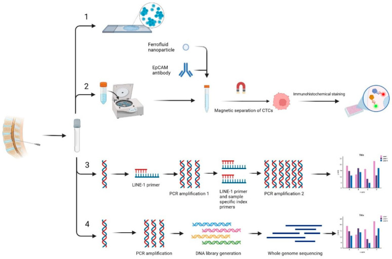 Diagnostic Kit Development for Cancer Biomarkers - Alfa Cytology