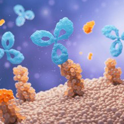 Neoantigen-based Antibody Therapy Development - Alfa Cytology