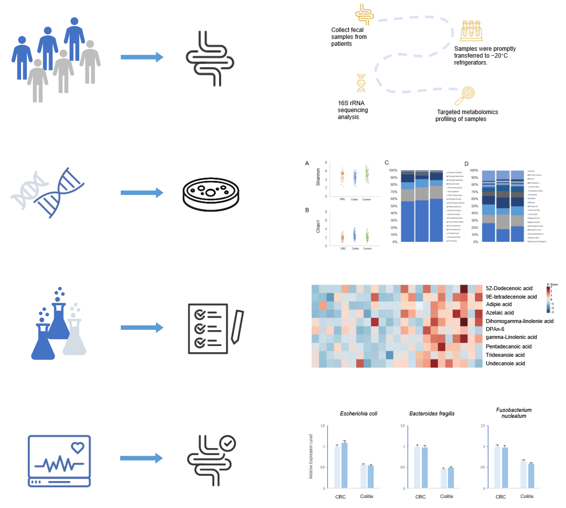 Gut Microbiome in Gastrointestinal Cancer: Biomarkers Discovery - Alfa ...