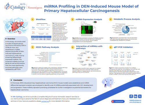 miRNA Profiling in DEN-Induced Mouse Model of Primary Hepatocellular ...
